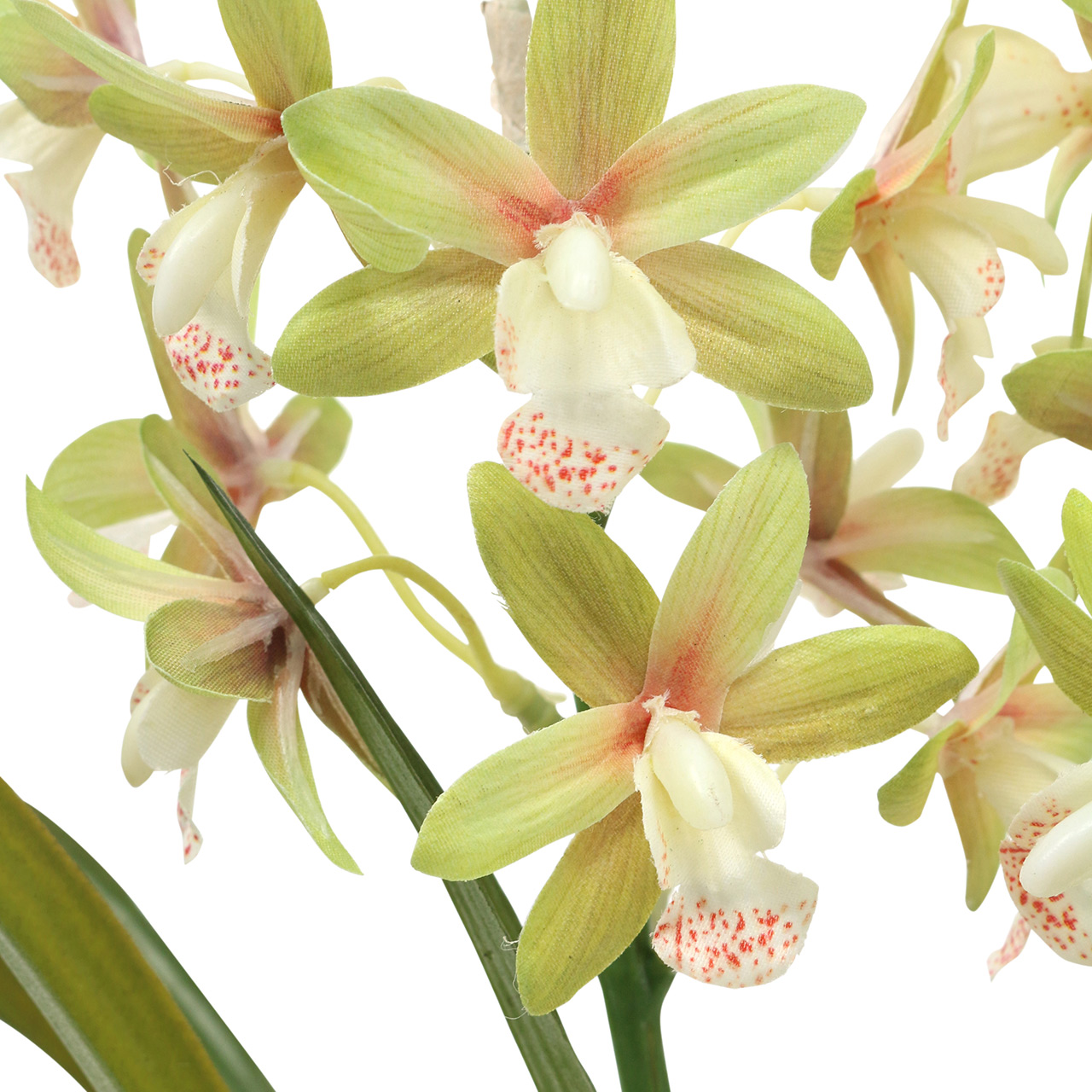 Floristik24.at Orchidee Cymbidium Grün im Topf Künstlich H46cm-65200